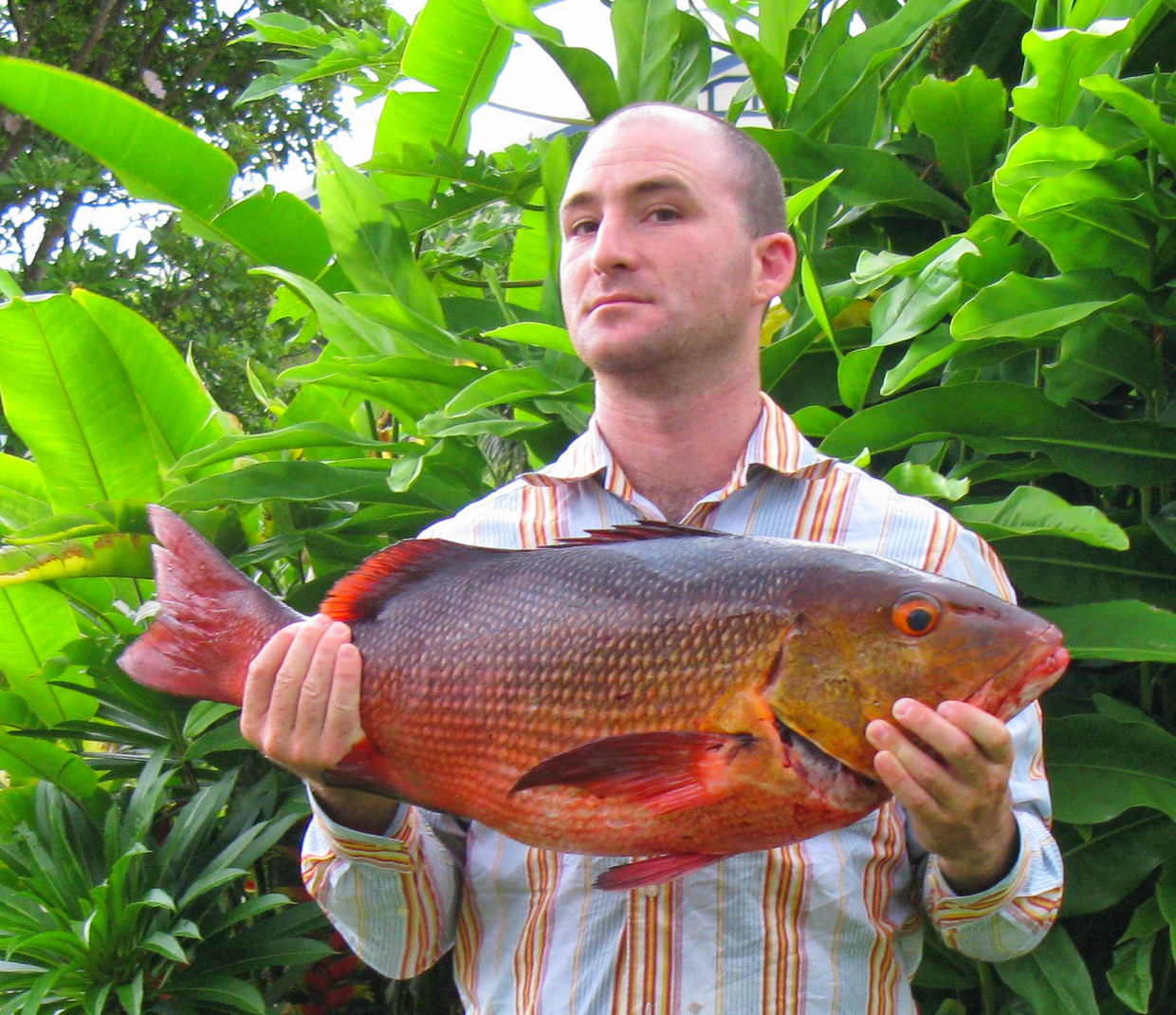 Mens kan lessen leren van eeuwenoude roodbaarzen | De Morgen