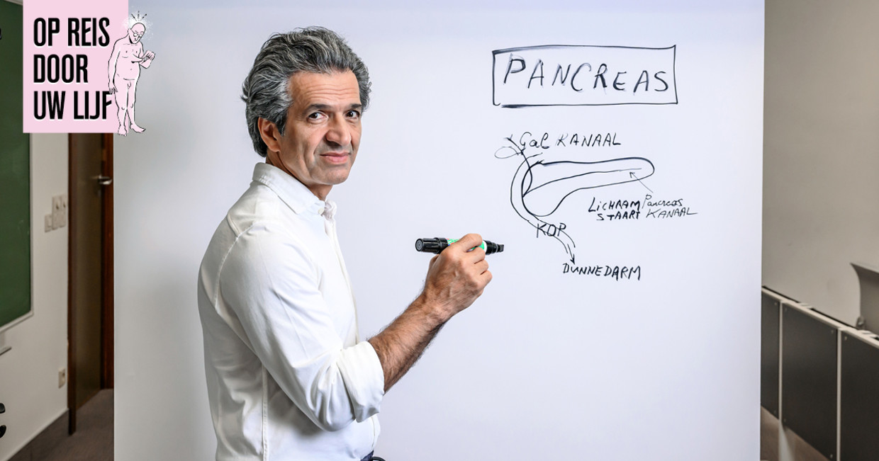 Professor Baki Topal: ‘Voor wie z’n pancreas graag perfect ziet, is ...