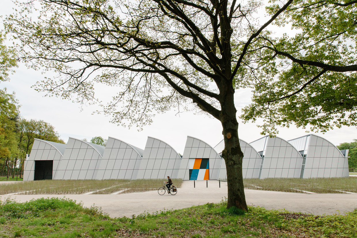 Het verborgen verhaal van het Nederlandse dorp Bergeijk, waar De Stijl ...