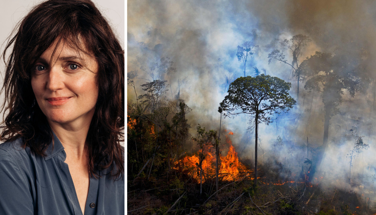 Lezers smeken soms om een positiever klimaatverhaal en ze hebben een punt