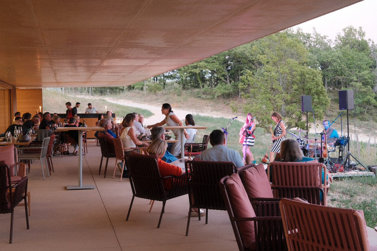 Kunst tussen de wijnranken: Sophie Le Clercq stelt haar domein open ...