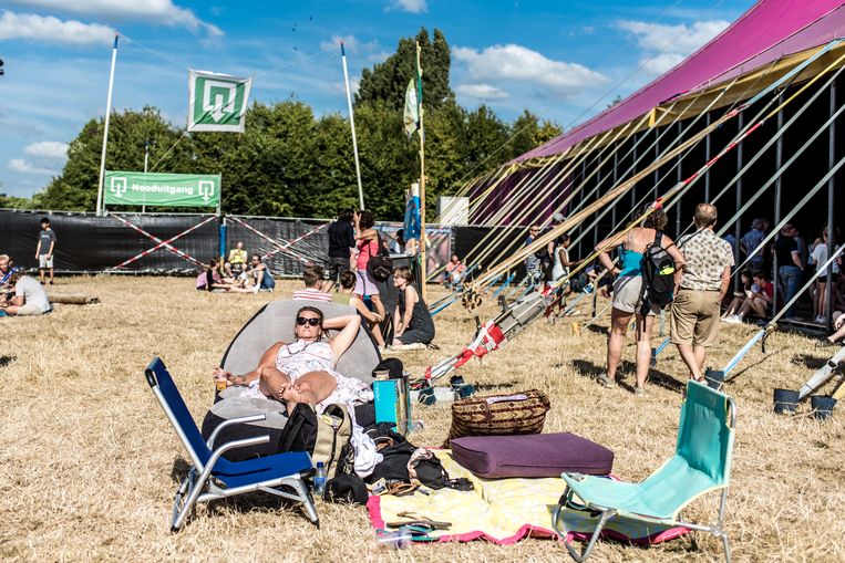 Woestijntemperaturen, salsadansen en zaadballen: dit zijn de ...