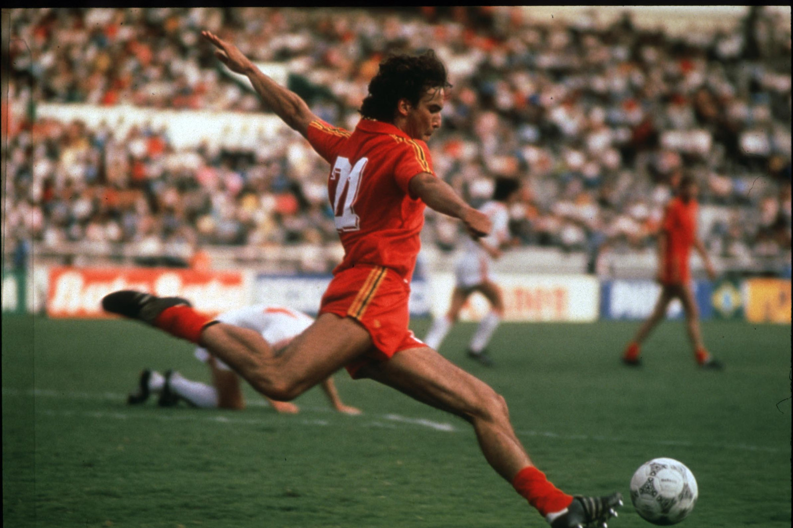 Stéphane Demol, flegmatieke verdediger met veel humor: ‘Hij ging nooit ...