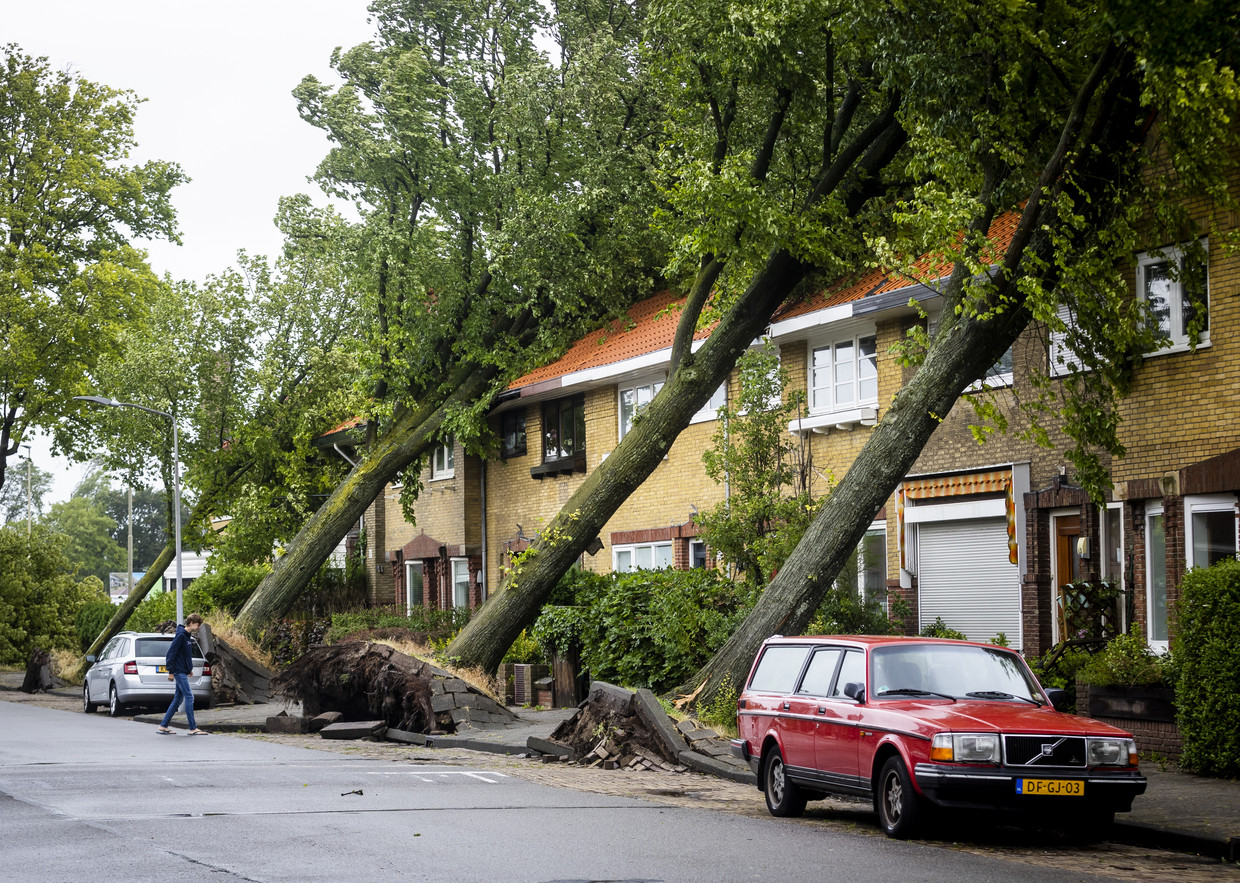 Ook code oranje overal ingetrokken in Nederland na storm Poly: vrouw ...