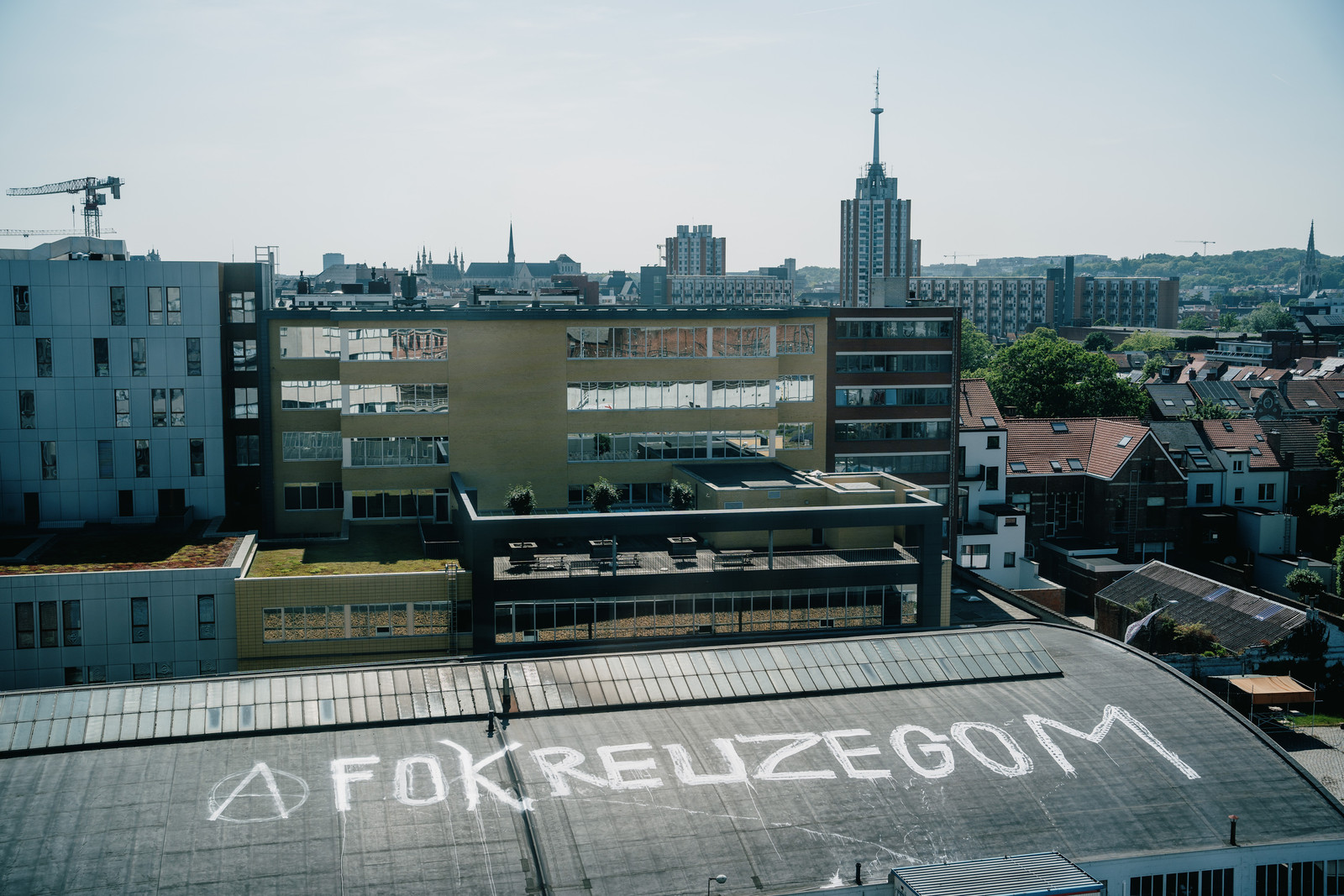 Reuzegom-ophef slingert maatschappelijk debat naar een plek waar ...