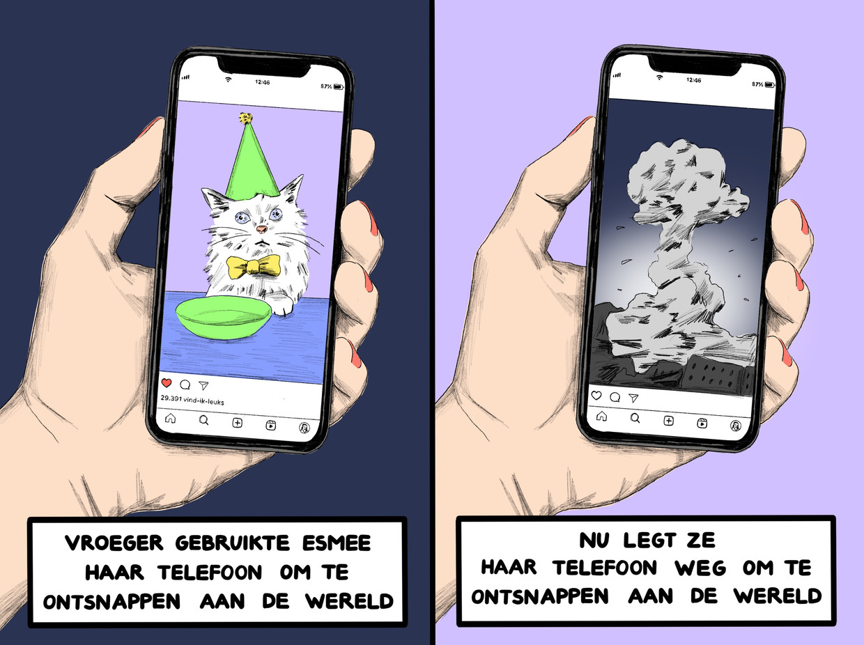 Jip van den Toorn | De Morgen