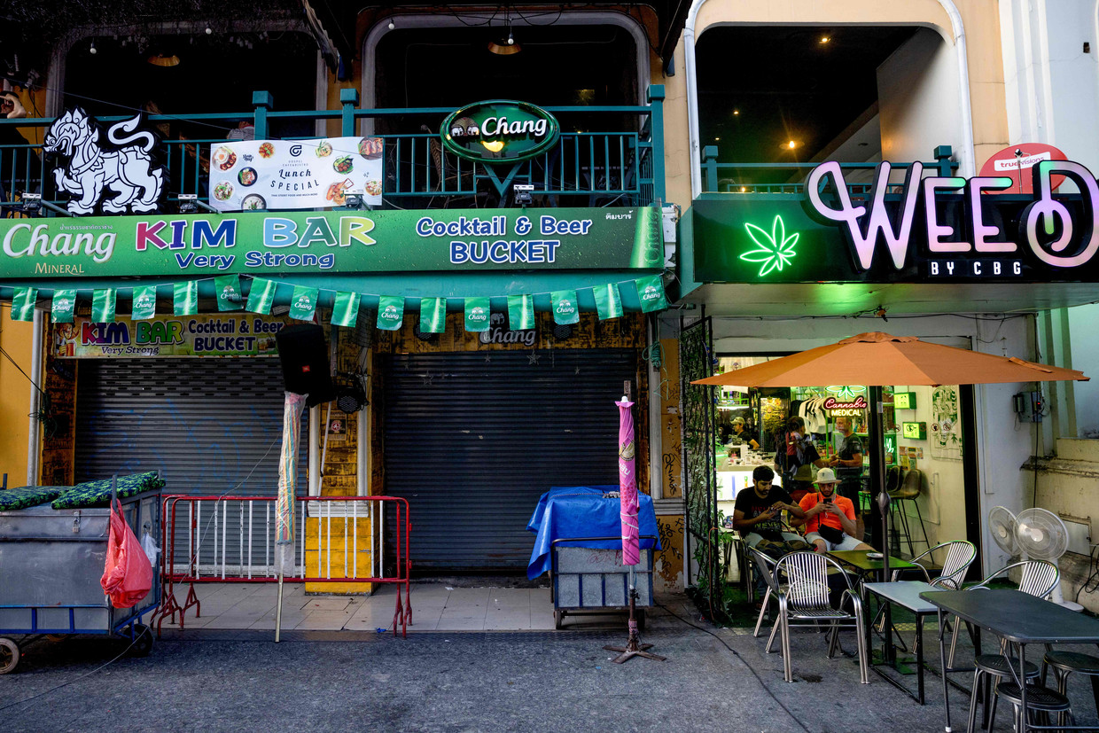 Thailand heeft, na een jaar legalisering, een ware wildgroei aan cannabis