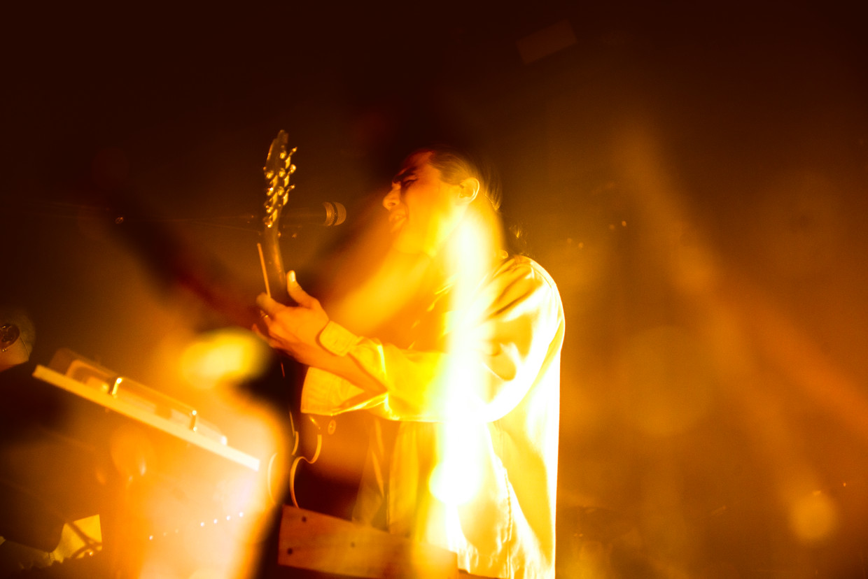 Jungle in Trix: een dubbeltje op z’n kant | De Morgen