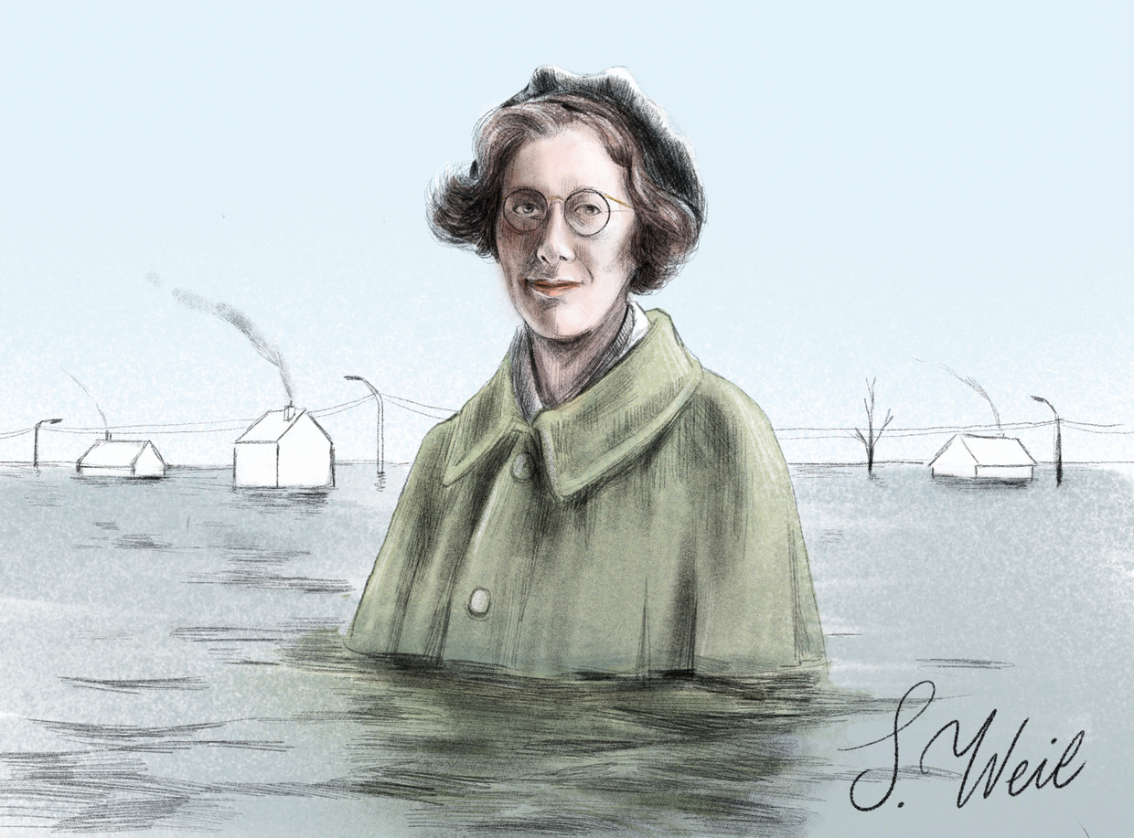 Wat de oude filosofen ons vandaag nog kunnen leren | De Morgen