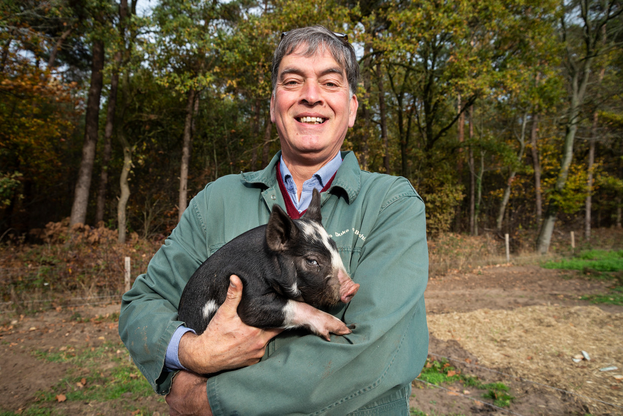 Waarom varkens­fluisteraar Kees Scheepens zijn dieren zindelijk maakt