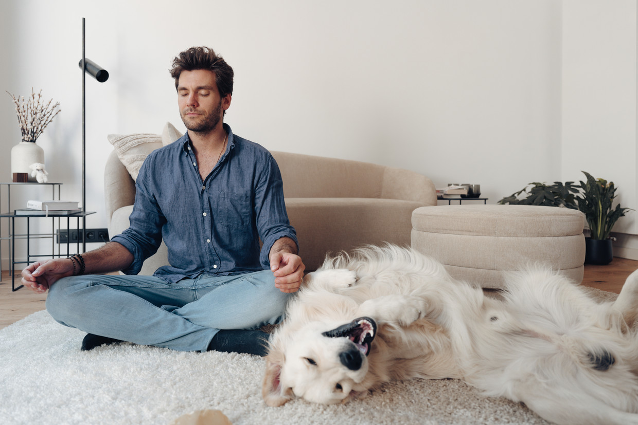 Het weekendritueel van ‘First dates’-barman Bram Van Geert: mediteren ...