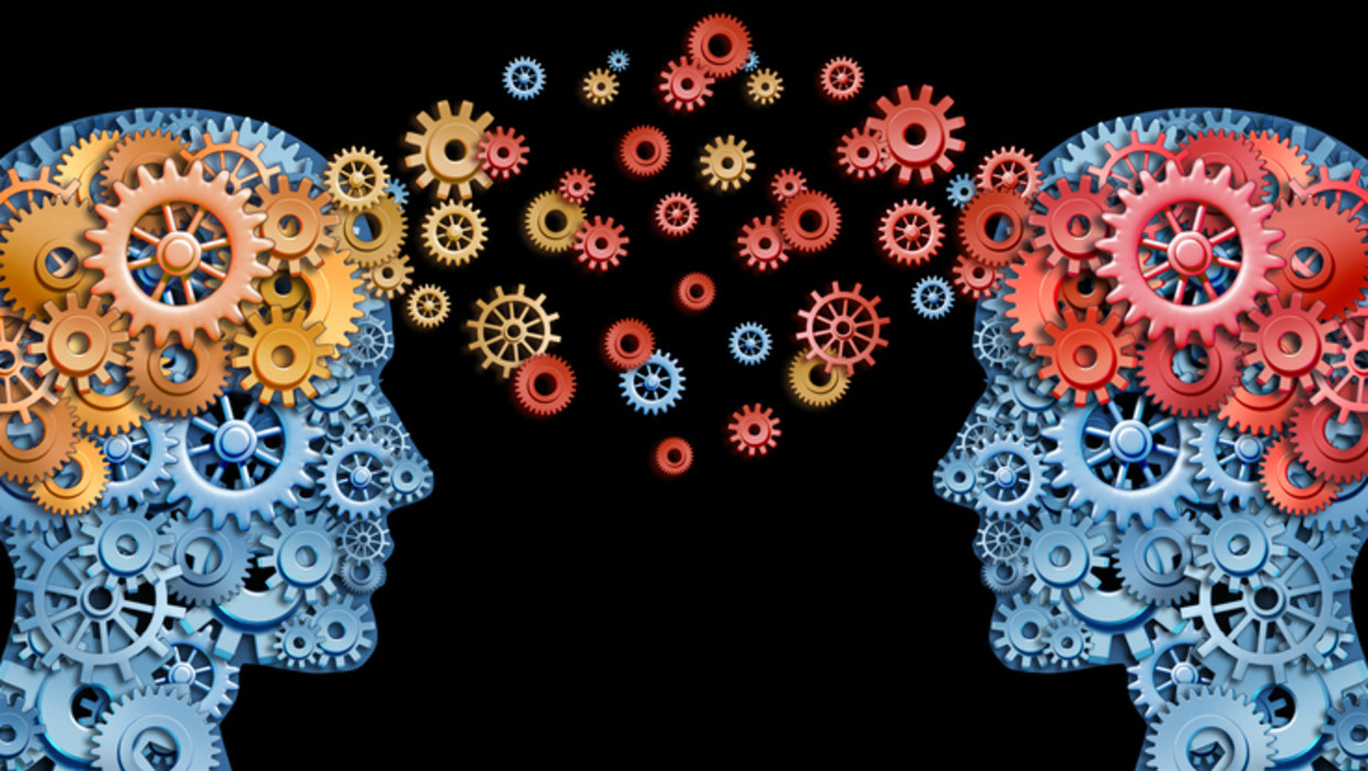 Man vs vrouw: zo anders werken onze hersenen | De Morgen