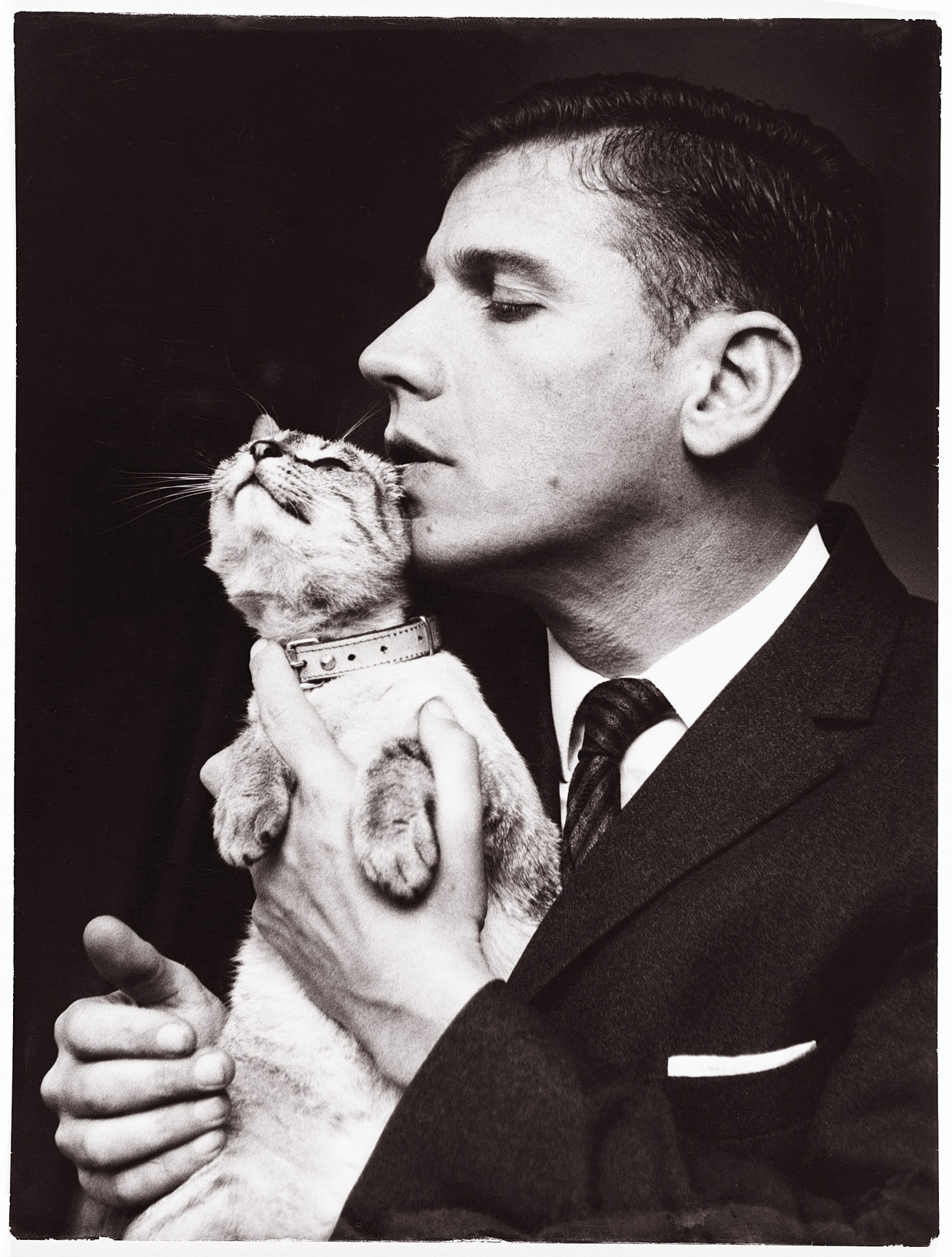 In de ban van de kat: nieuw kunstig fotoboek legt relatie tussen kat en ...