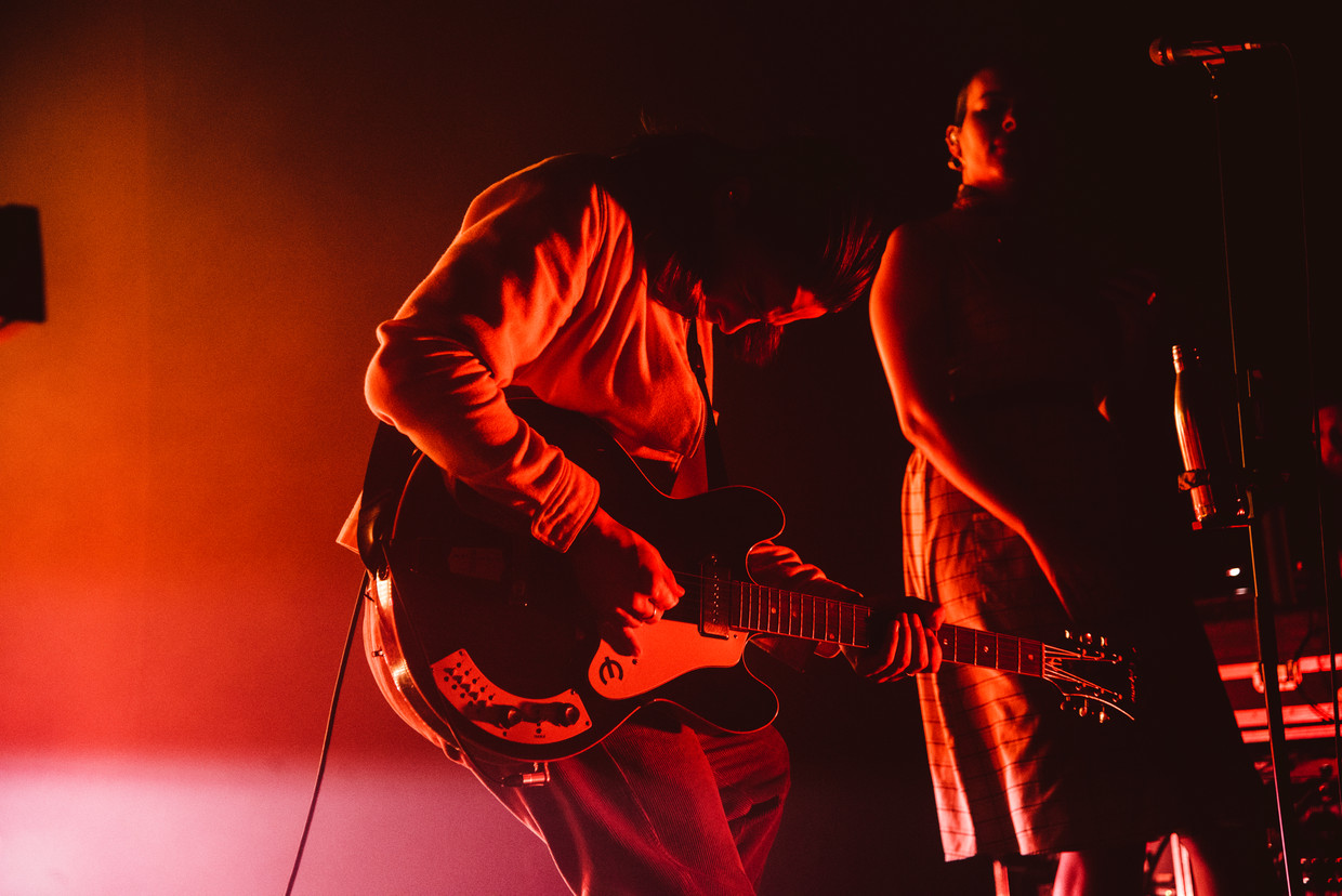 Jungle in Trix: een dubbeltje op z’n kant | De Morgen