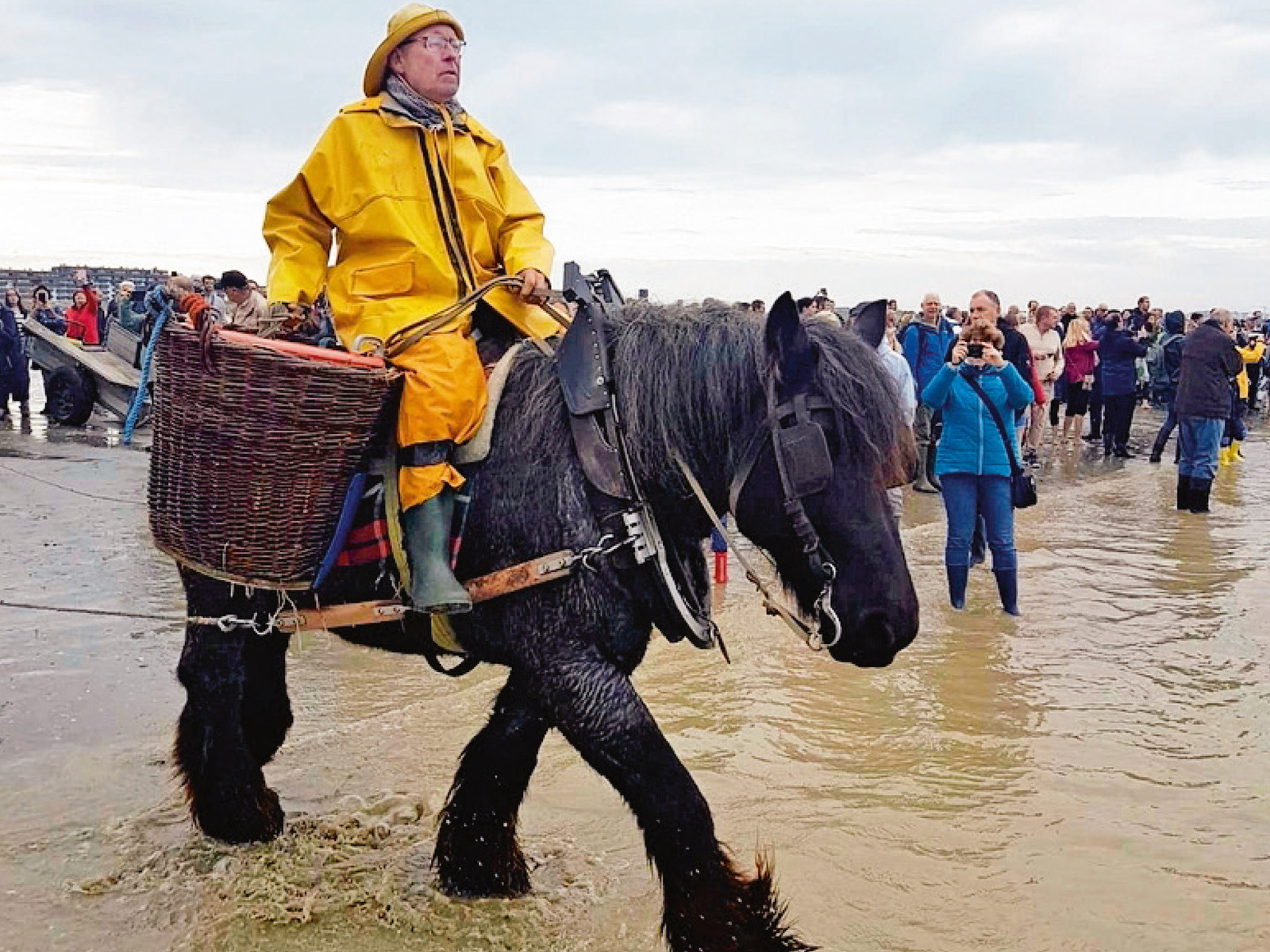 ‘Het water is te warm. In mijn tijd bevroor het zeewater soms, nu zijn ...