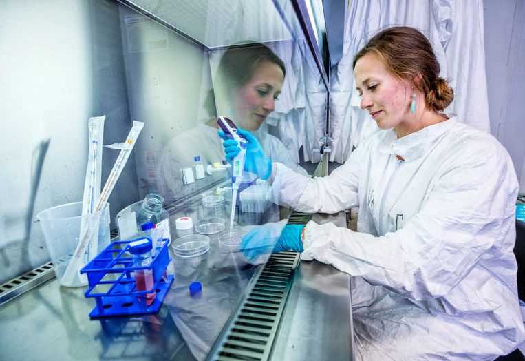 Muizenhersenen op 37°: Zo wil deze wetenschapper een einde maken aan ...