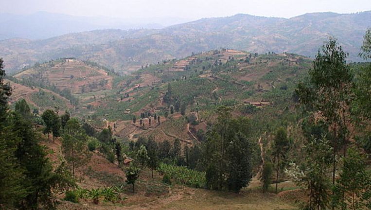 Gasthuis met zwembad in Rwanda | De Morgen