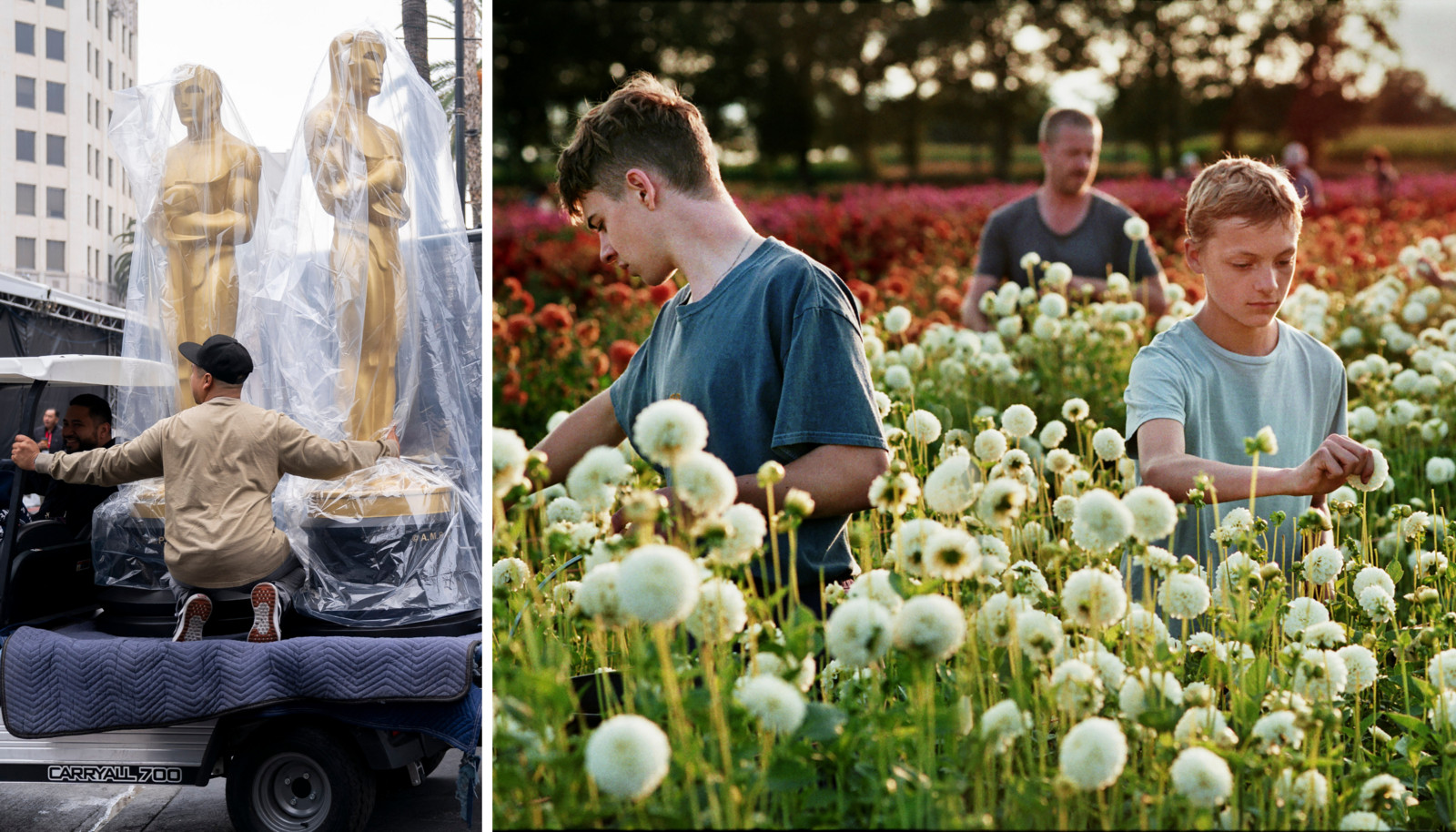 Brengt Lukas Dhont eindelijk hét gouden beeldje mee? Experts over hoe ...