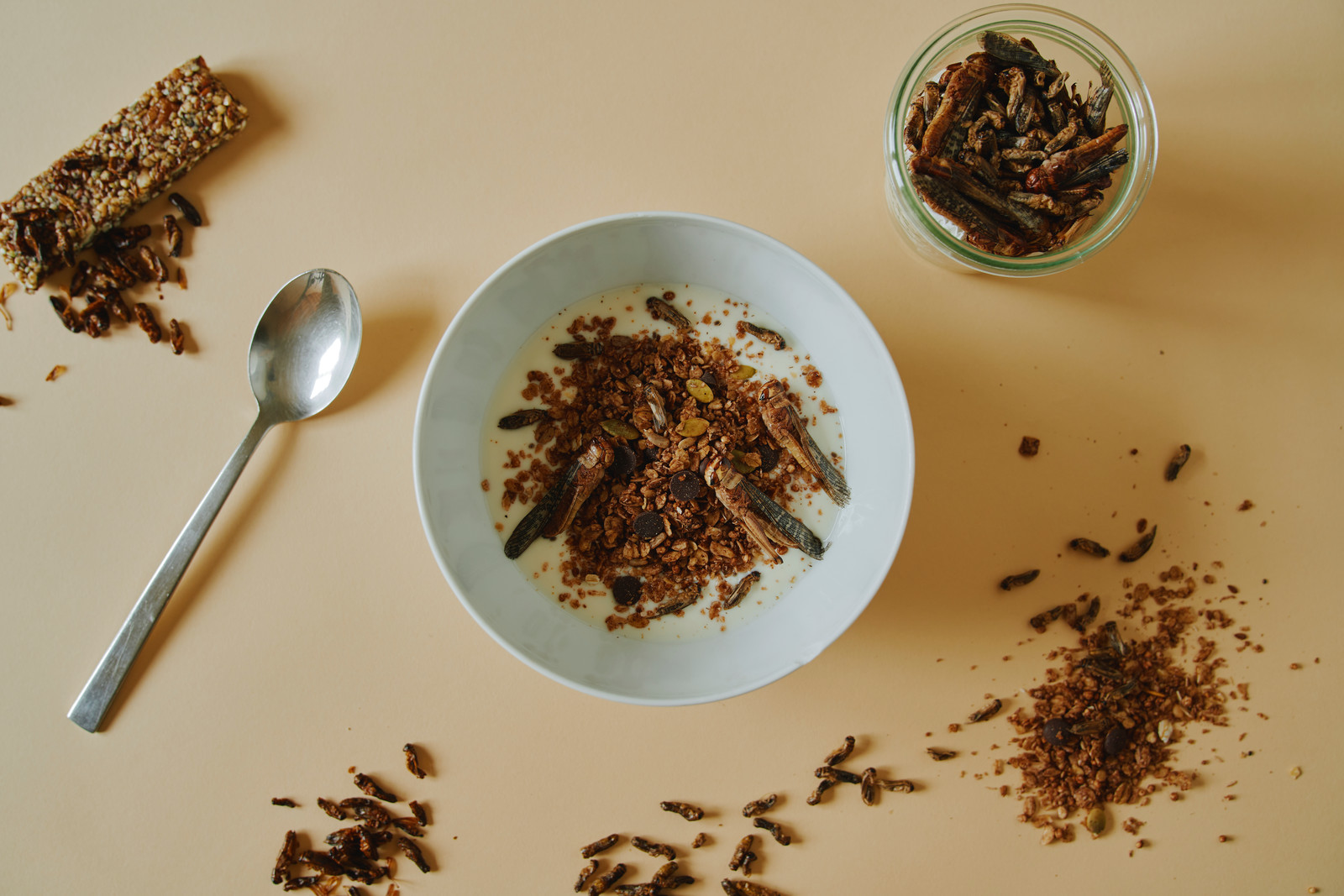 Iemand nog een krekel? De voordelen van insecten eten zijn groot, de ...