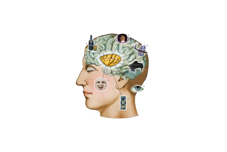 Hoe het brein precies werkt? Dat weten we niet. Deze wetenschapper legt ...