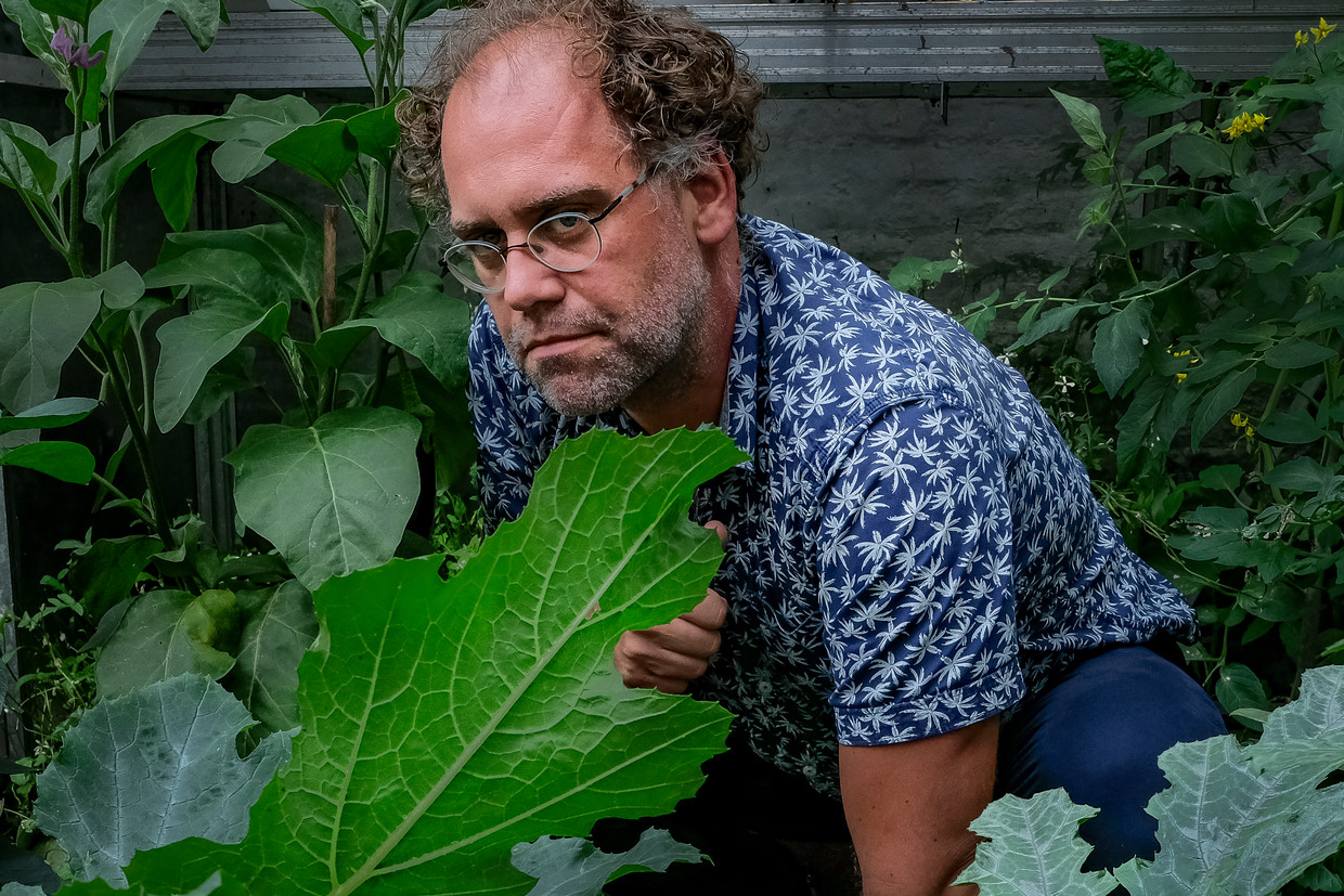 ‘Verlos ons van het kwaad’: de Brusselse hartenkreet van Joost ...