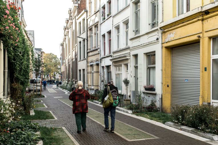 De tuinstraat als wapen tegen de klimaatopwarming: ‘Meer groen houdt de ...