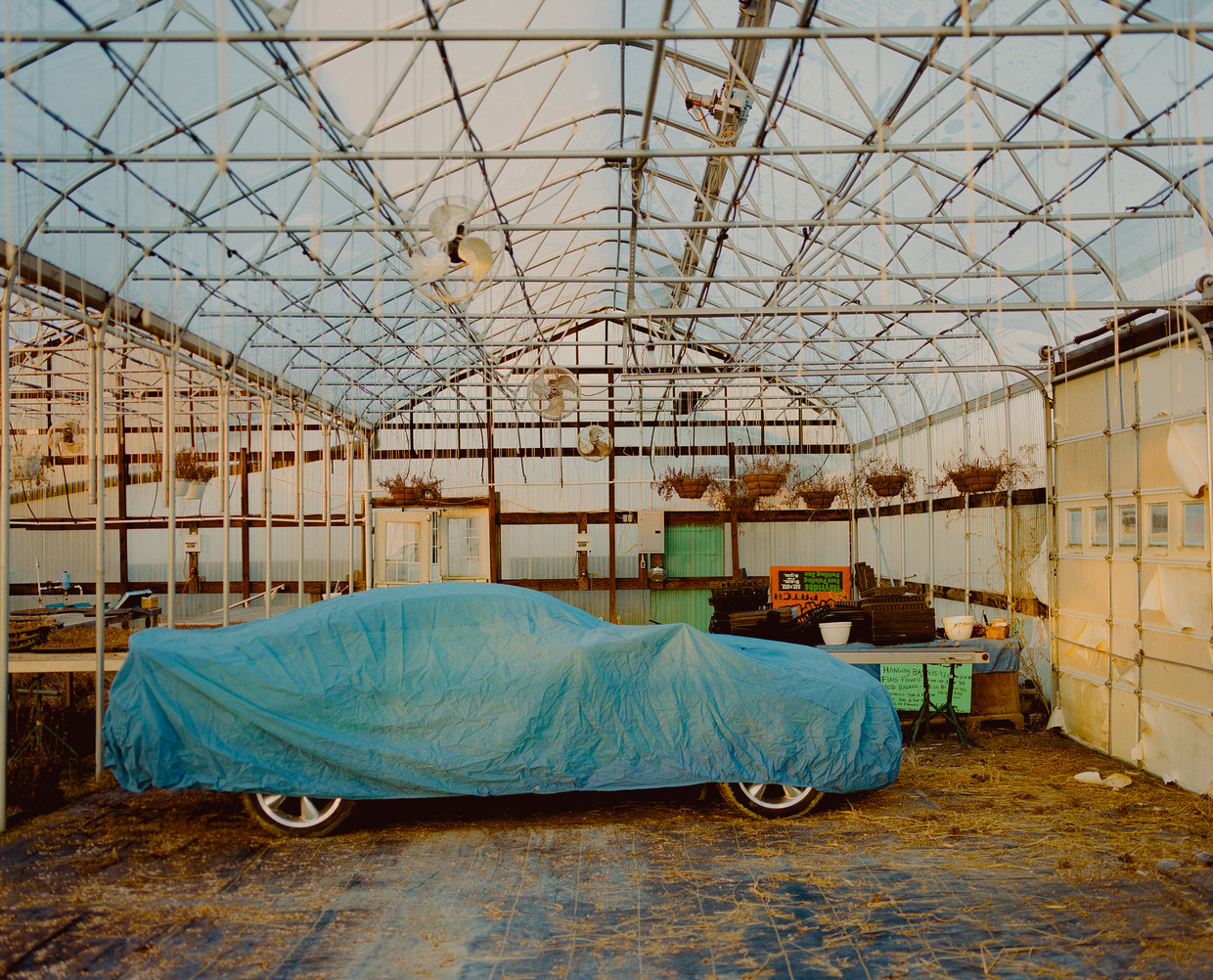 Willem Verbeeck brengt eerste fotoboek uit: ‘Ik ben geïnteresseerd in het alledaagse’