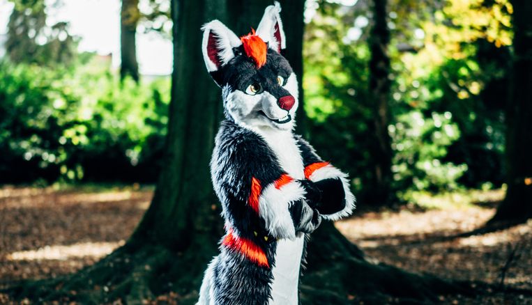 In dierenpak de wereld opvrolijken: de Furry Fandom-community groeit ...