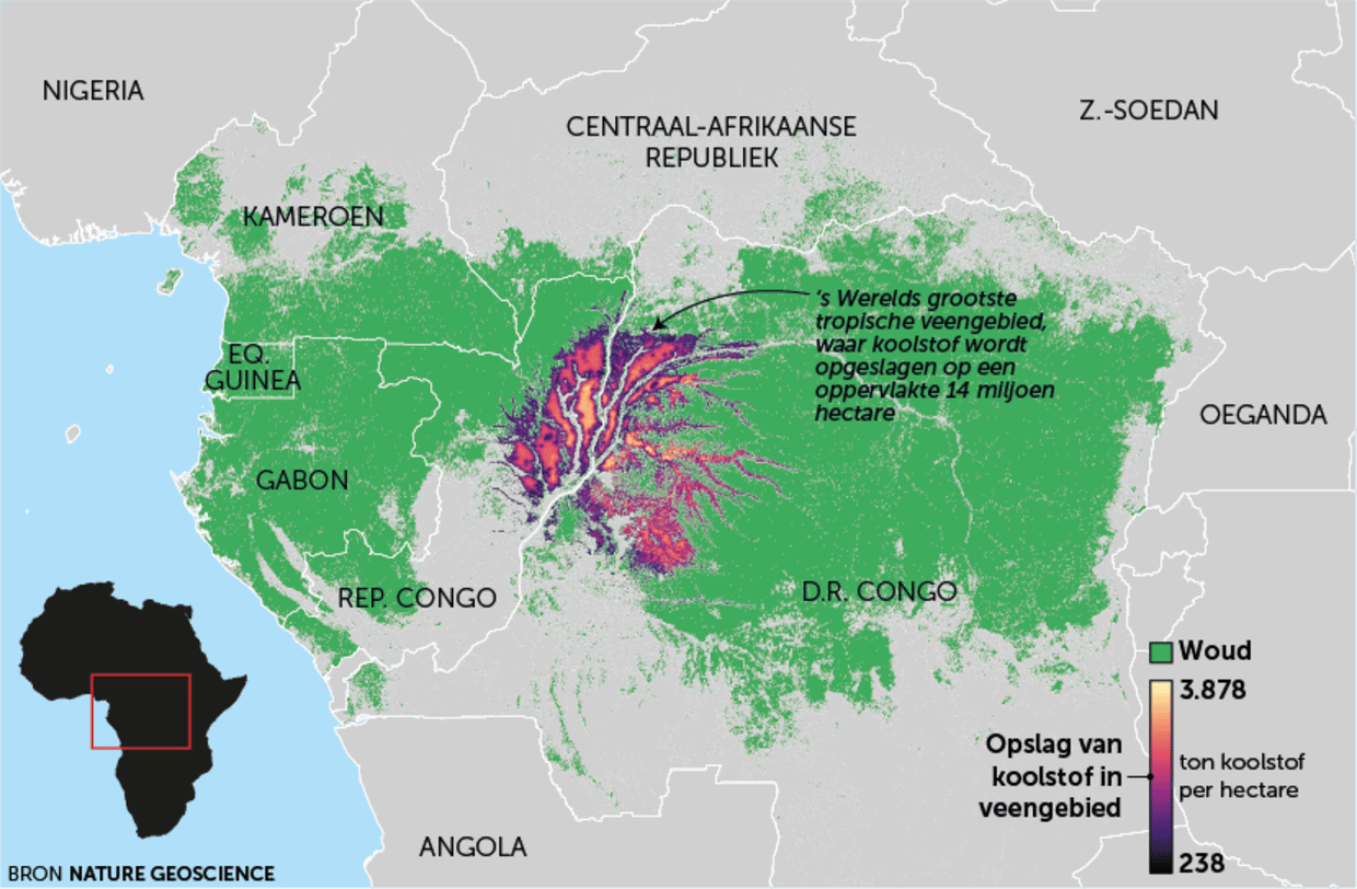 Niet het Amazonewoud, maar gigantisch veengebied in Congo is de groene ...