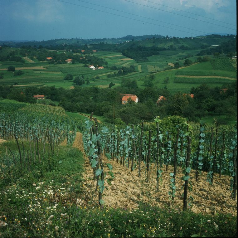 Drago Jancar speelt een slim spel met de verwachtingen van de lezer