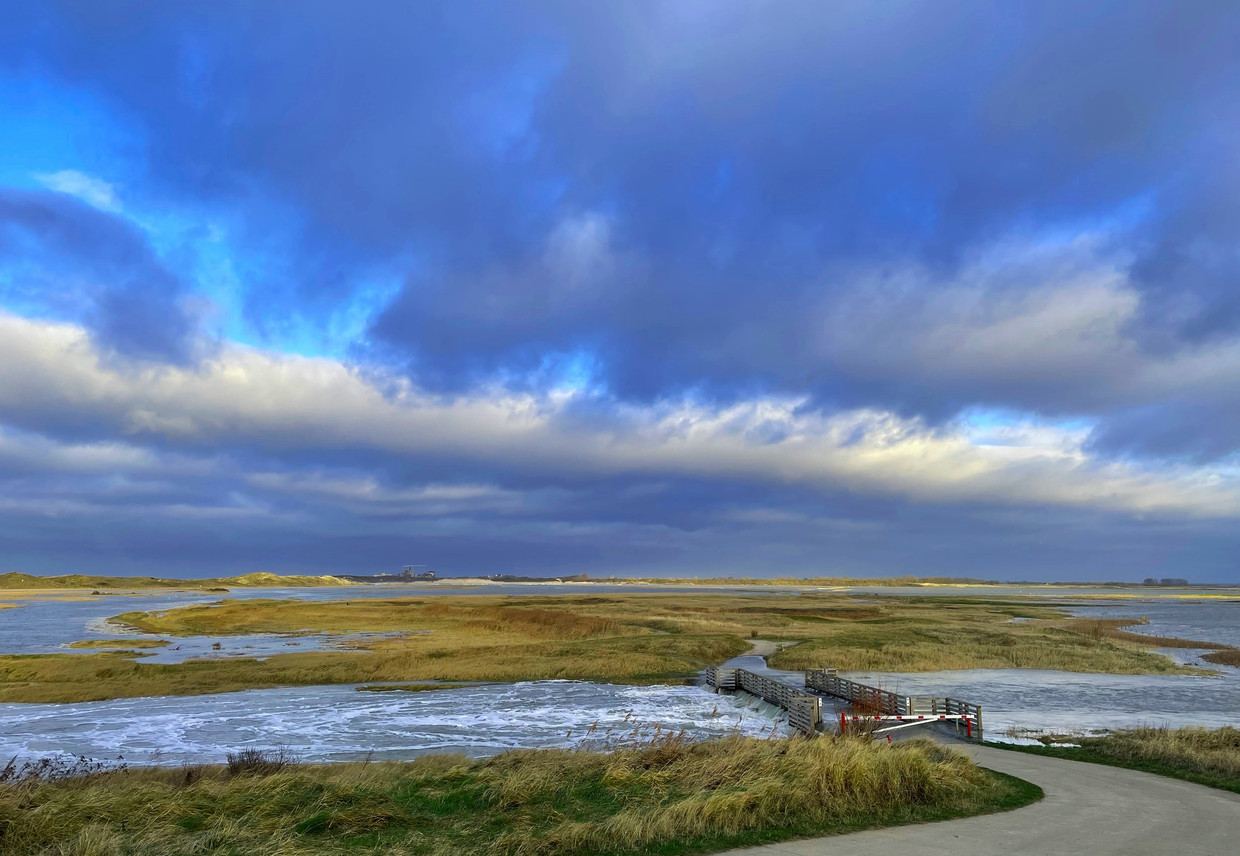 Zwinuitbreiding lokt verschillende vogel- en vissoorten naar Zwinvlakte