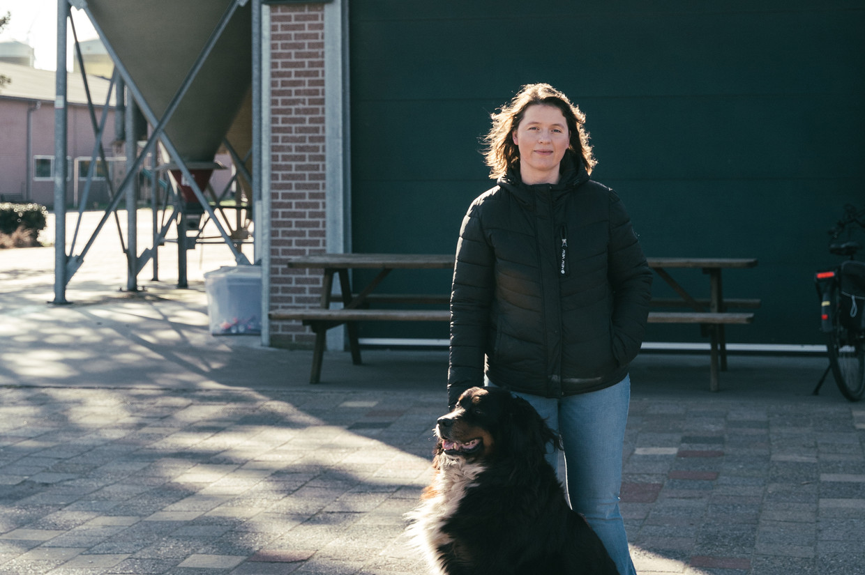 Drie boeren over hun protest tegen stikstofakkoord: ‘Eigenlijk zijn we ...